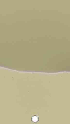 Sometimes The Scariest Things Turn Out To Be The Most Fascinating!