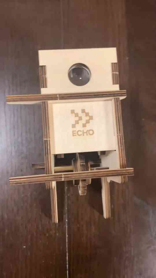 A Glimpse into the Microscopic World: What’s Hidden Beneath the Lens?