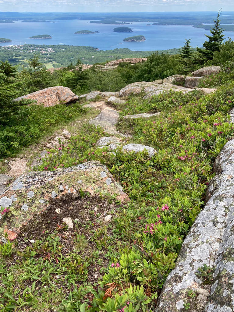 Why so many travelers flock to Acadia National Park and you should too
