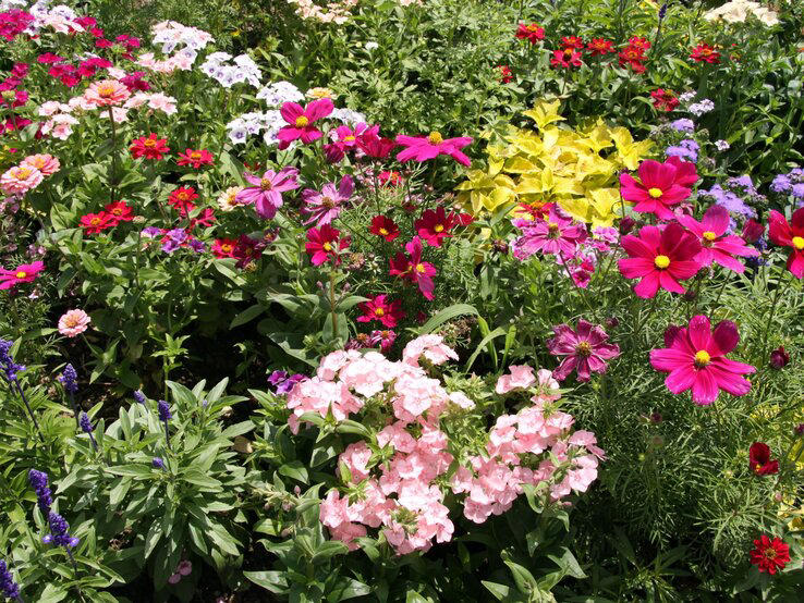 Gartenarbeit im Frühling: Warum Stauden pflanzen jetzt ein Muss ist
