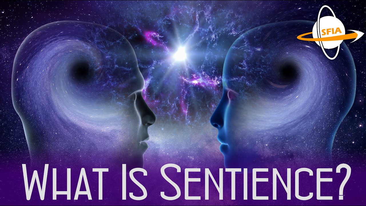 What is Sentience