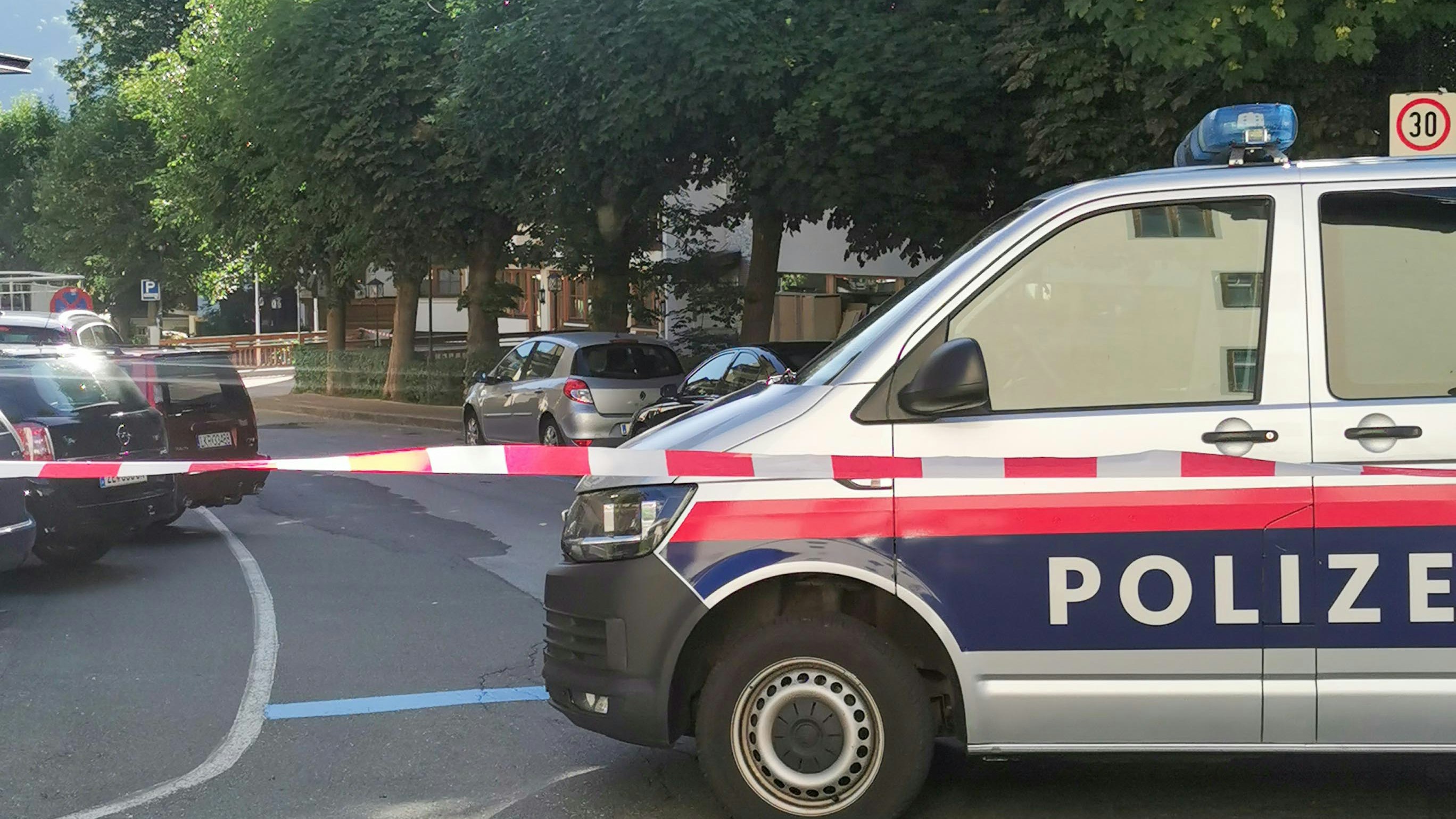 Tiere litten Qualen! Polizei nimmt Steirer 15 Hunde weg