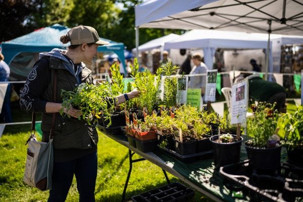 25 summer events in Oshkosh that can't be missed, from Waterfest to ...