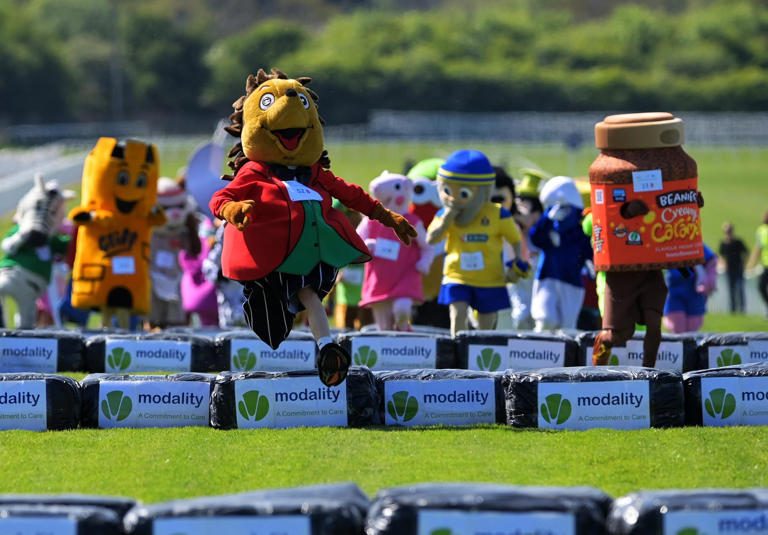 In pictures: The Sue Ryder Mascot Gold Cup at Wetherby Races
