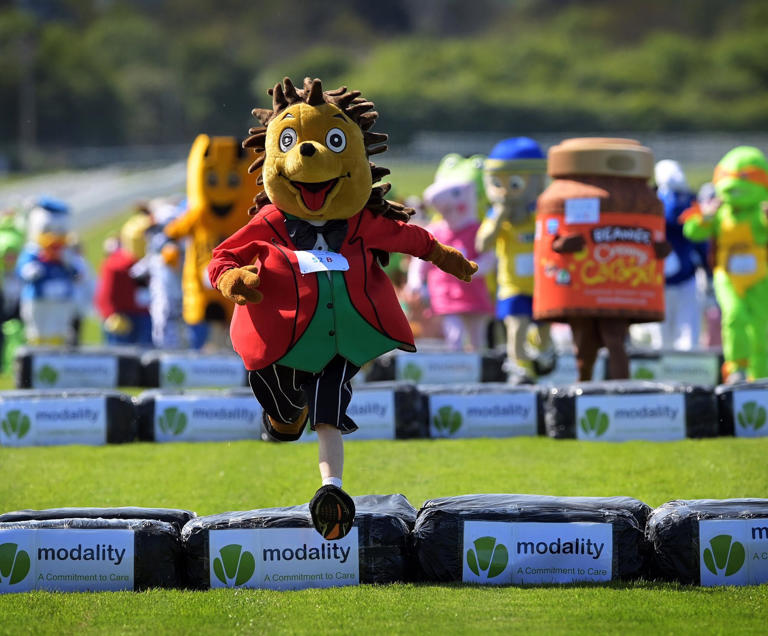 In pictures: The Sue Ryder Mascot Gold Cup at Wetherby Races