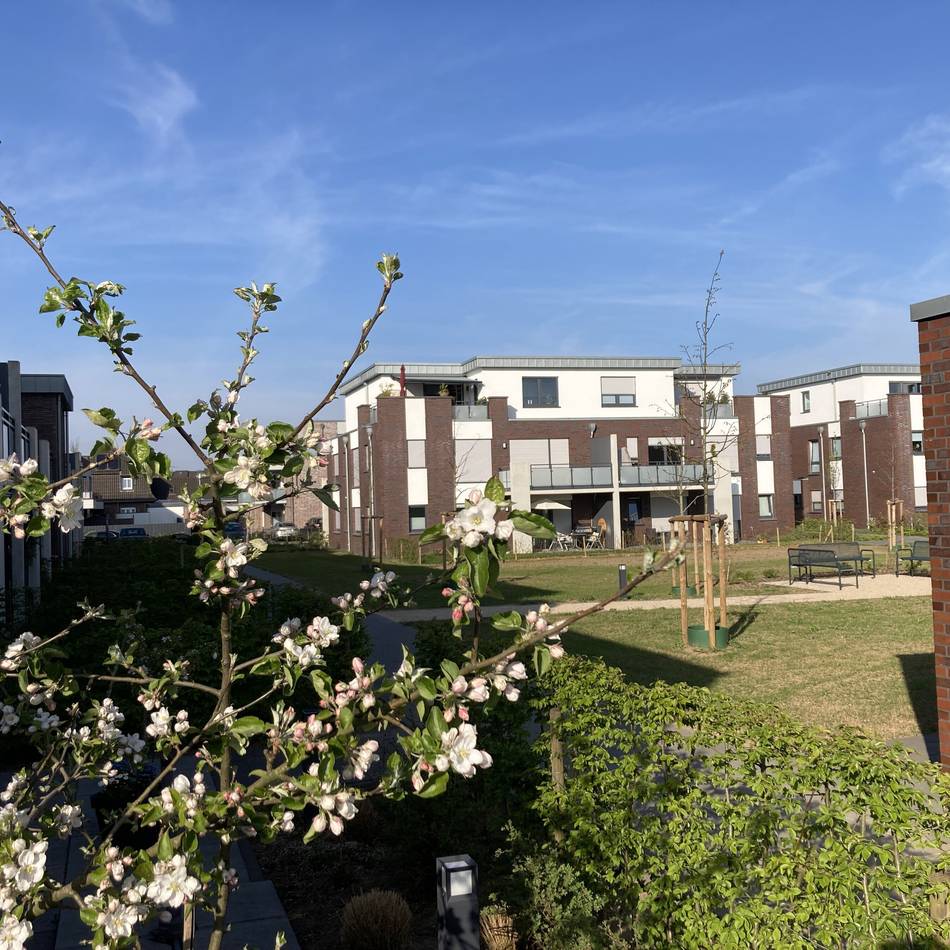 Das ist neu in Aldekerk und das ist geplant