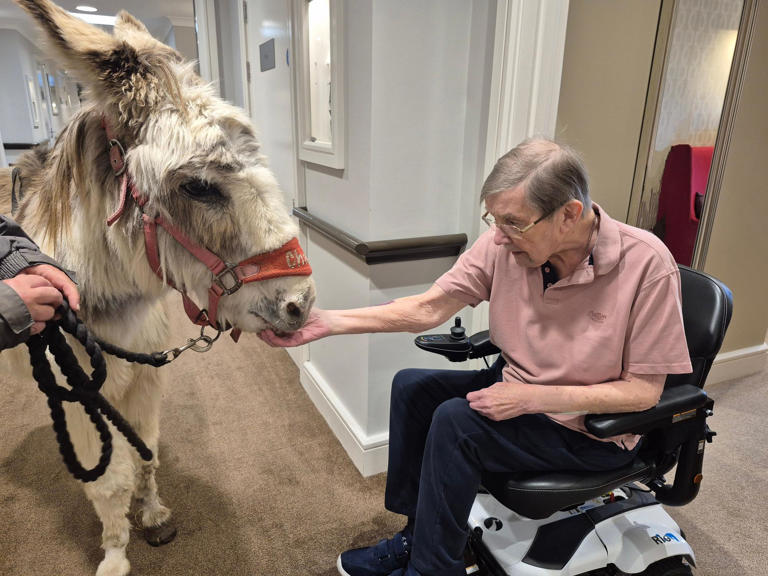 Superstar Charlie joins reception on Patchway care home community day