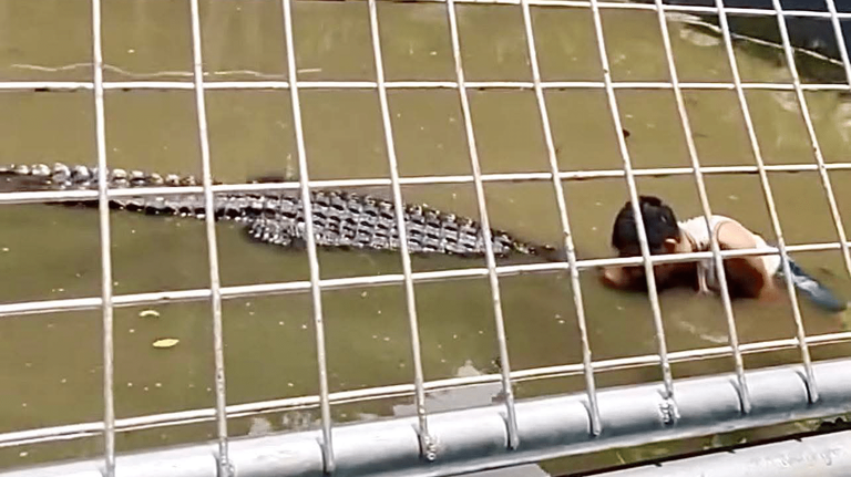 Man survives crocodile attack in Zamboanga Sibugay