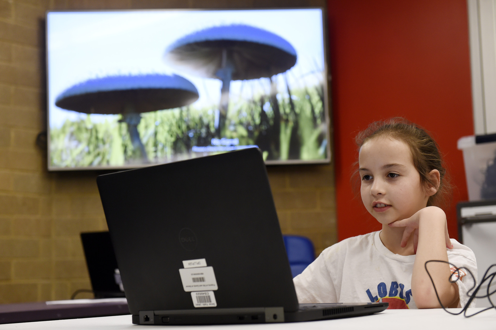 Roblox CEO addresses parents' safety concerns amid game's growing ...