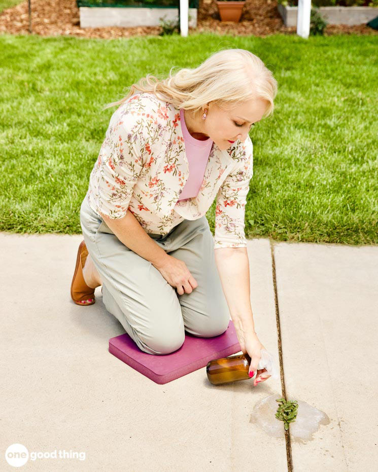 This Cheap DIY Weed Killer Makes Weeds Disappear