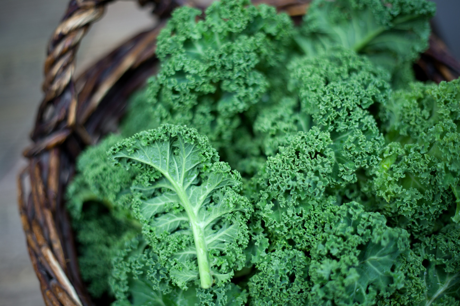 Anti-aging foods that will turn back time