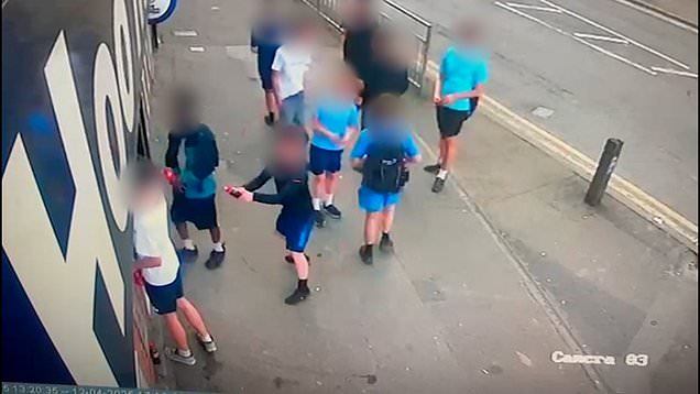 CCTV footage shows group of yobs attacking a village shop