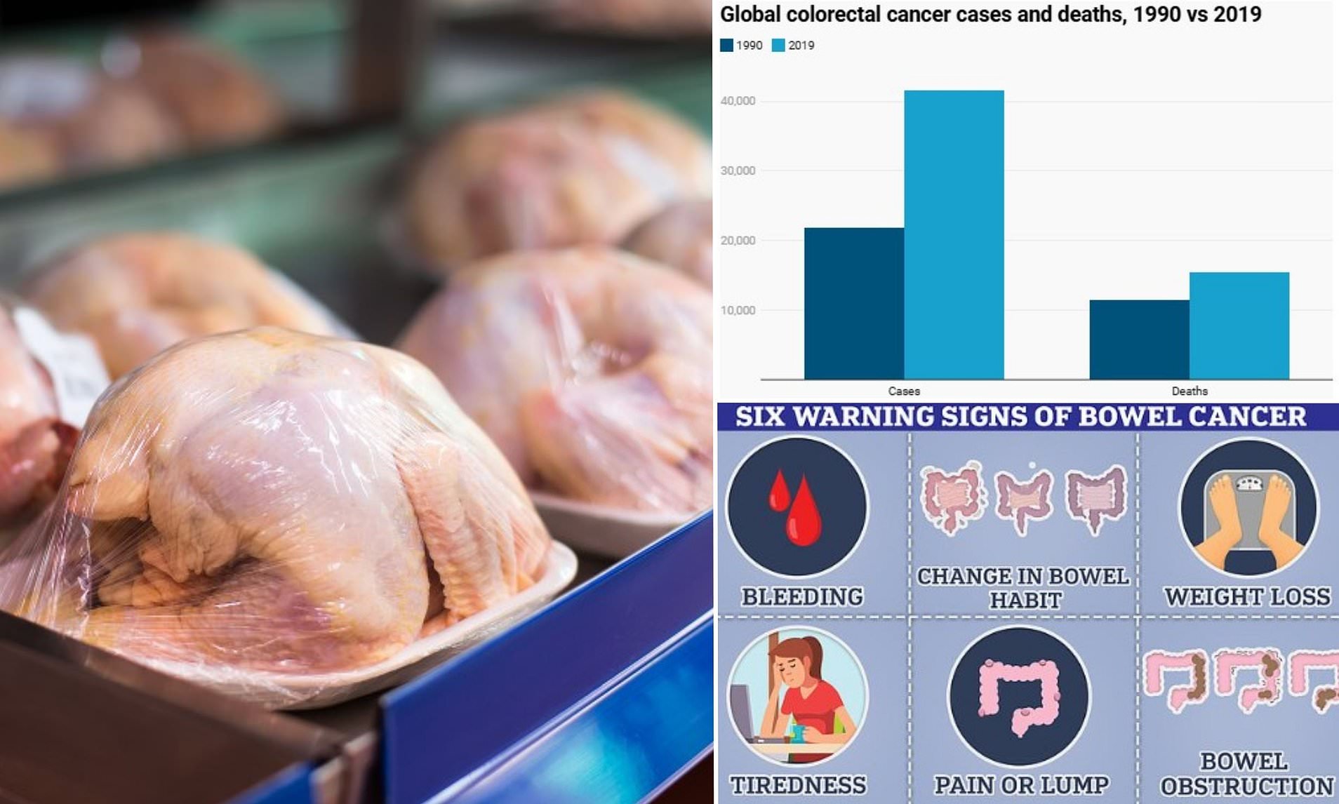 Terrifying evidence that infection found in chicken could be driving ...