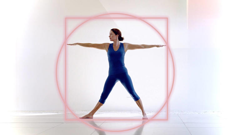 Meet the QC Bomb Squad dogs that sniff out the threat of explosives