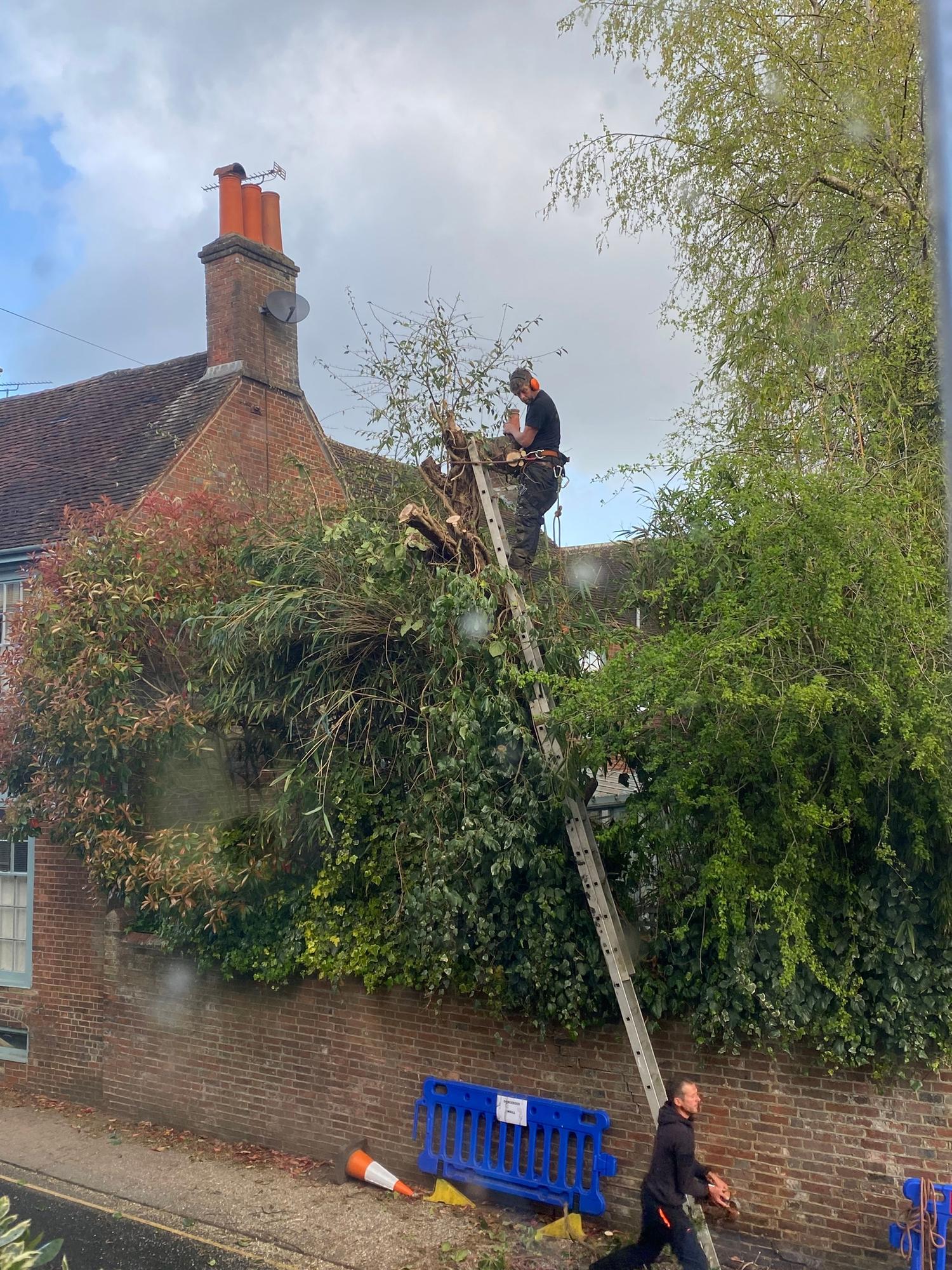 Hurstpierpoint Village News