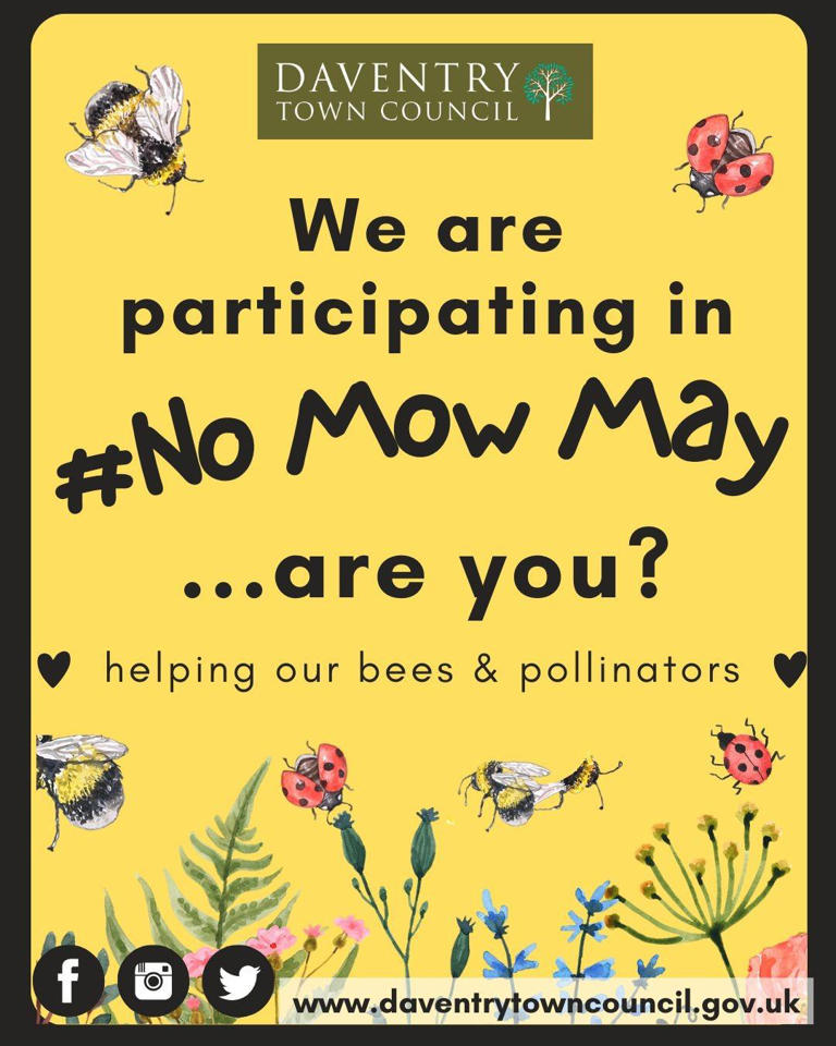 Less mowing, more growing: Daventry Town Council supports No Mow May