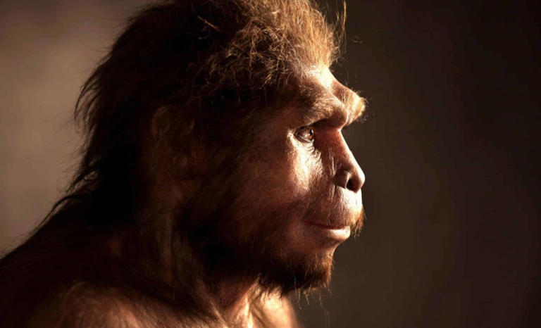 20% of Modern Human Genetic Heritage Is Thought to Have Been Inherited ...