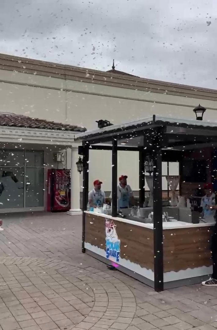 Eles abriram 6 franquias de milk-shake nos EUA, com neve artificial e ...