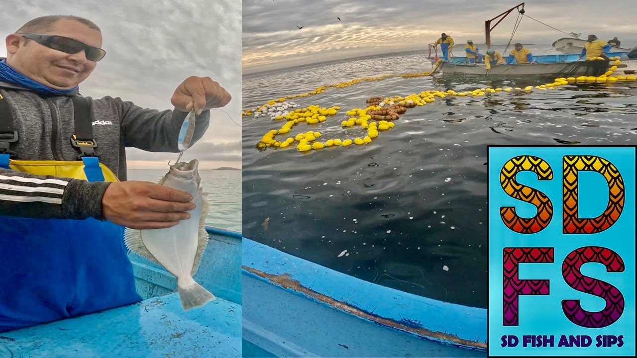 Hard Times in Mexico - Fishing Halibut, Mackerel, and Sardine in Bahia Asuncion, Baja California Sur