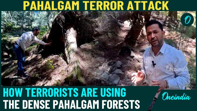 Pahalgam Attack: Terrorists Using Natural Caves to Carry Out Attacks in ...