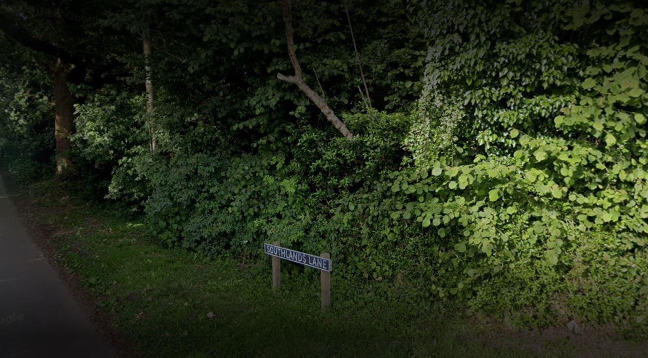 South Downs vineyard reveals plans for 'cellar door' shop