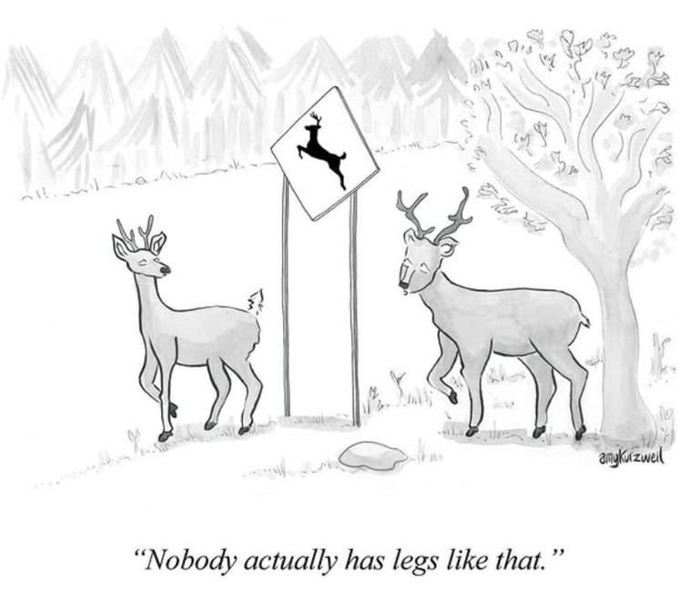 48 Funny Single-Panel Comics From New Yorker Cartoonist Amy Kurzweil ...