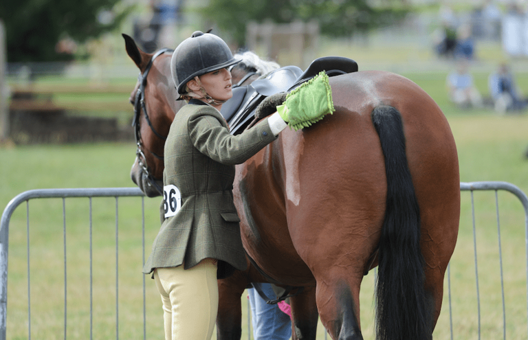 Up your game in working hunter classes with this advice from showing ...