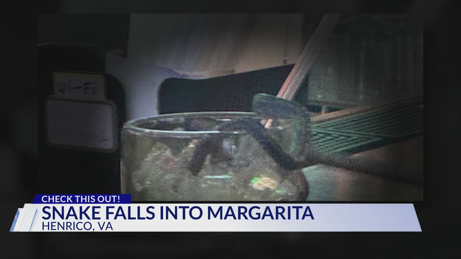 Snake falls into drink at Virginia restaurant