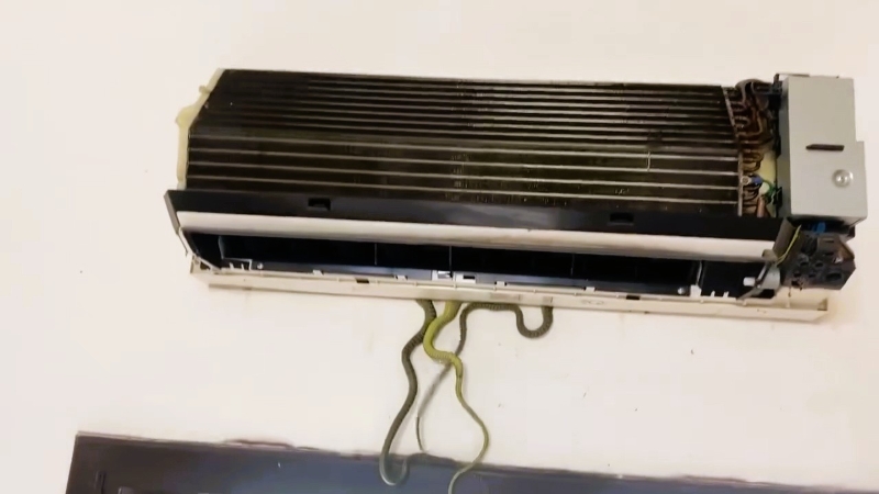 How American women were depicted on military and employment recruiting ...