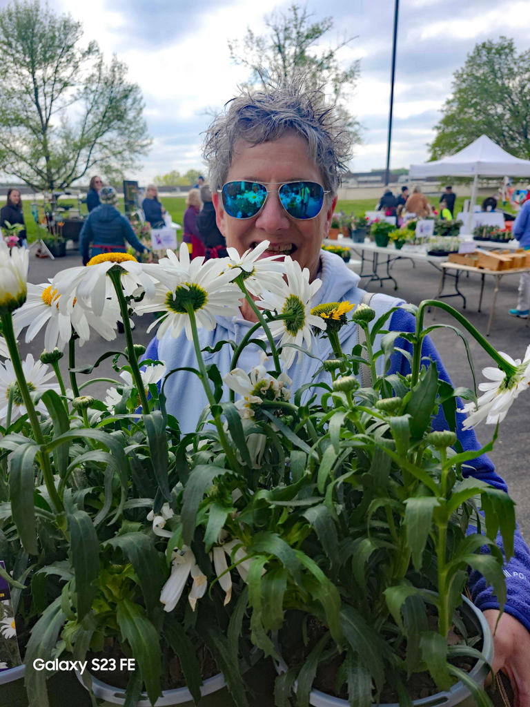 Shopper Blog: 'Much more modern' Farragut Town Hall open for business