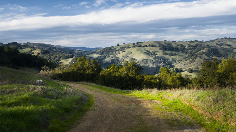 Three Of Tennessee's Best State Parks Thrive On This Road Trip Full Of ...