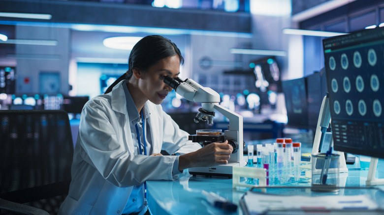 11 Strangest Organisms You Can Only See With A Microscope