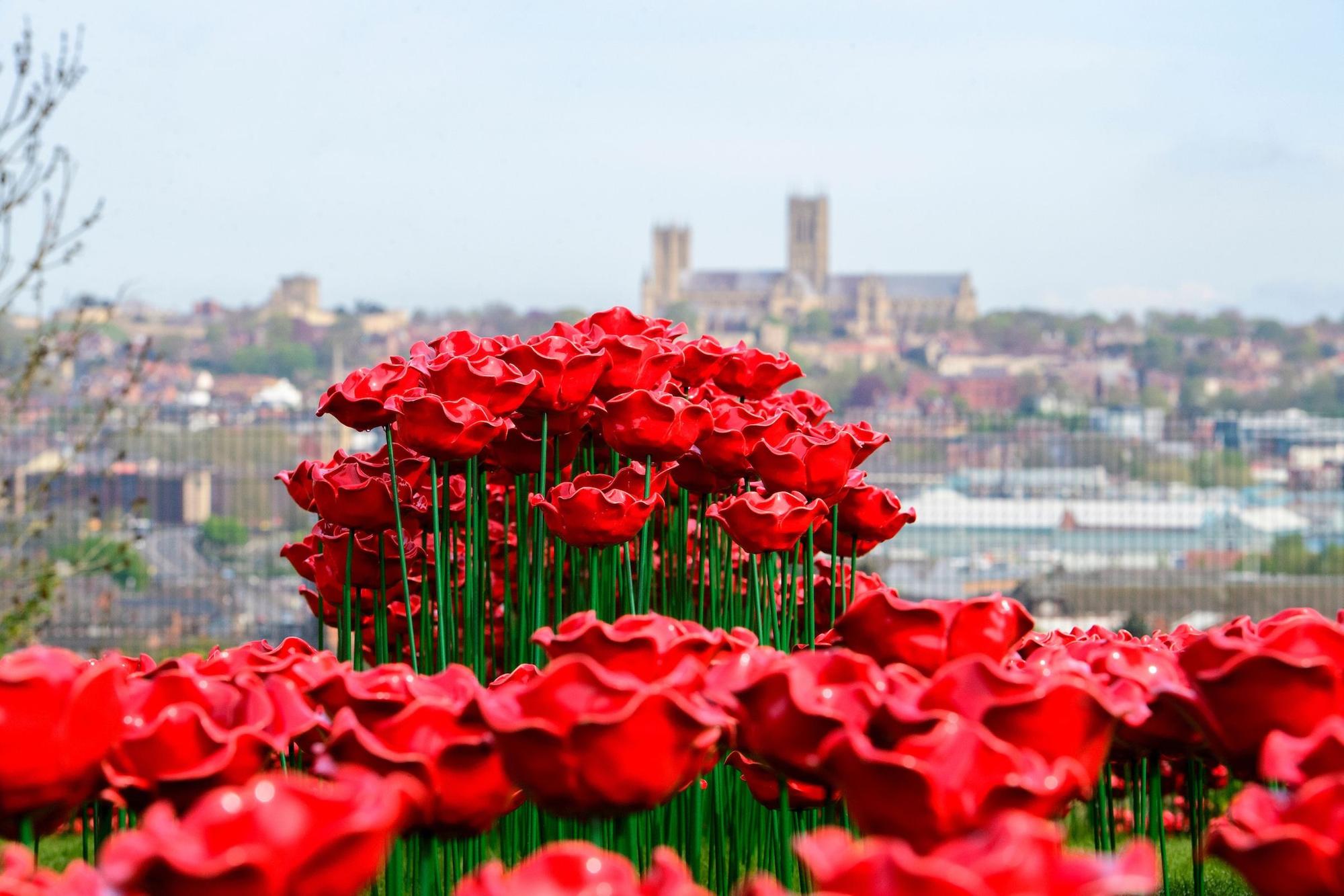 Thousands of poppies make up striking VE Day 80 tribute