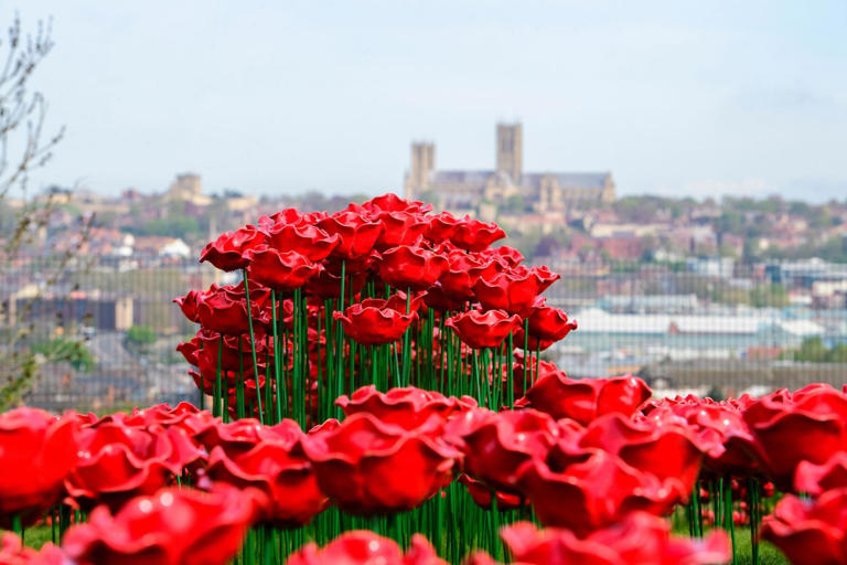 Thousands of poppies make up striking VE Day 80 tribute