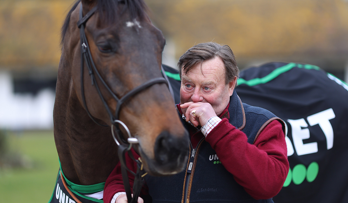Constitution Hill aiming for redemption at Punchestown