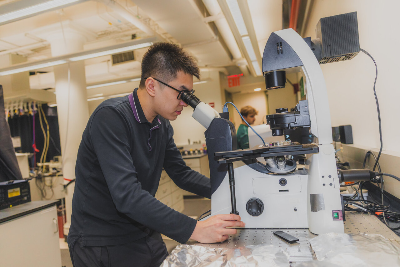 Scientists observe how blobs form crystals and discover a new crystal type