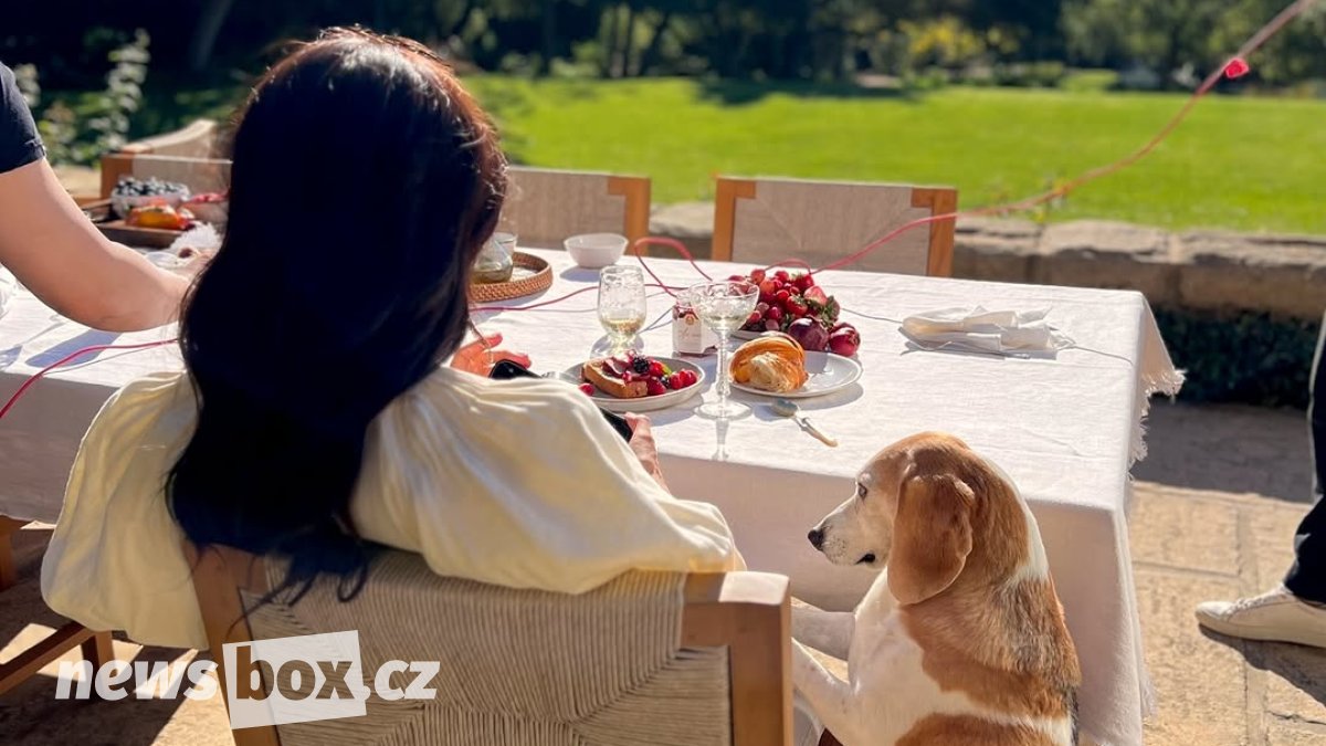 Vrazí Netflixu kudlu do zad? Meghan se chce vetřít k Bezosovi