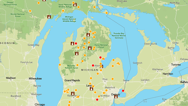 DNR treasure map to help guide morel mushroom hunters in Northern Michigan