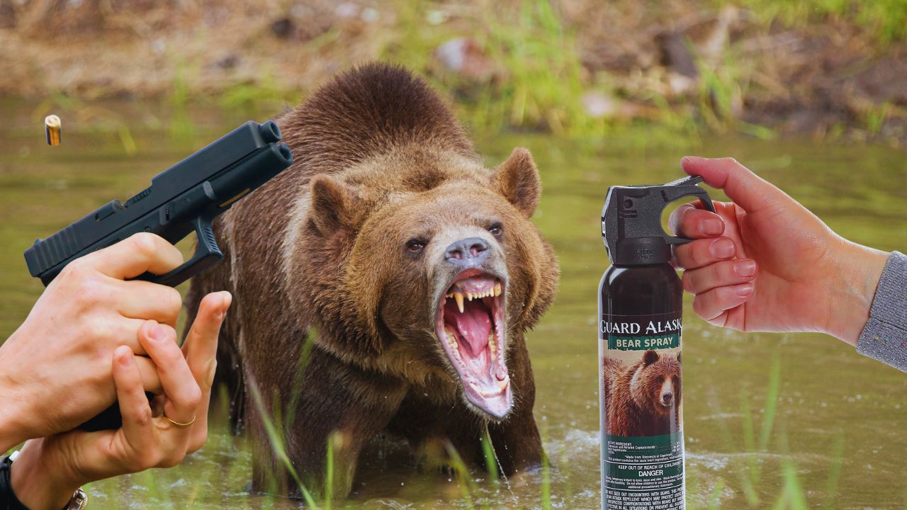 Bear Spray vs Gun? Hunter’s Self-Defense Shooting of Grizzly Rekindles ...