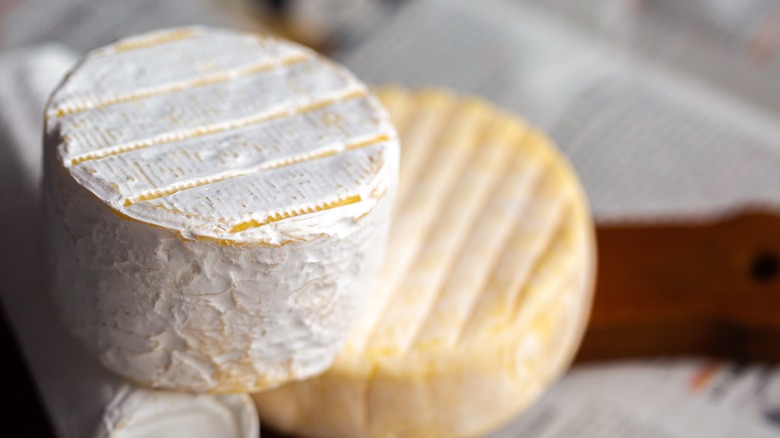 The Ancient History Of Cheese
