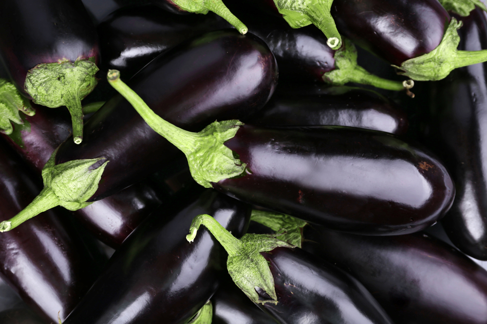 Eggplant seeds attract scientific interest in colon cancer research