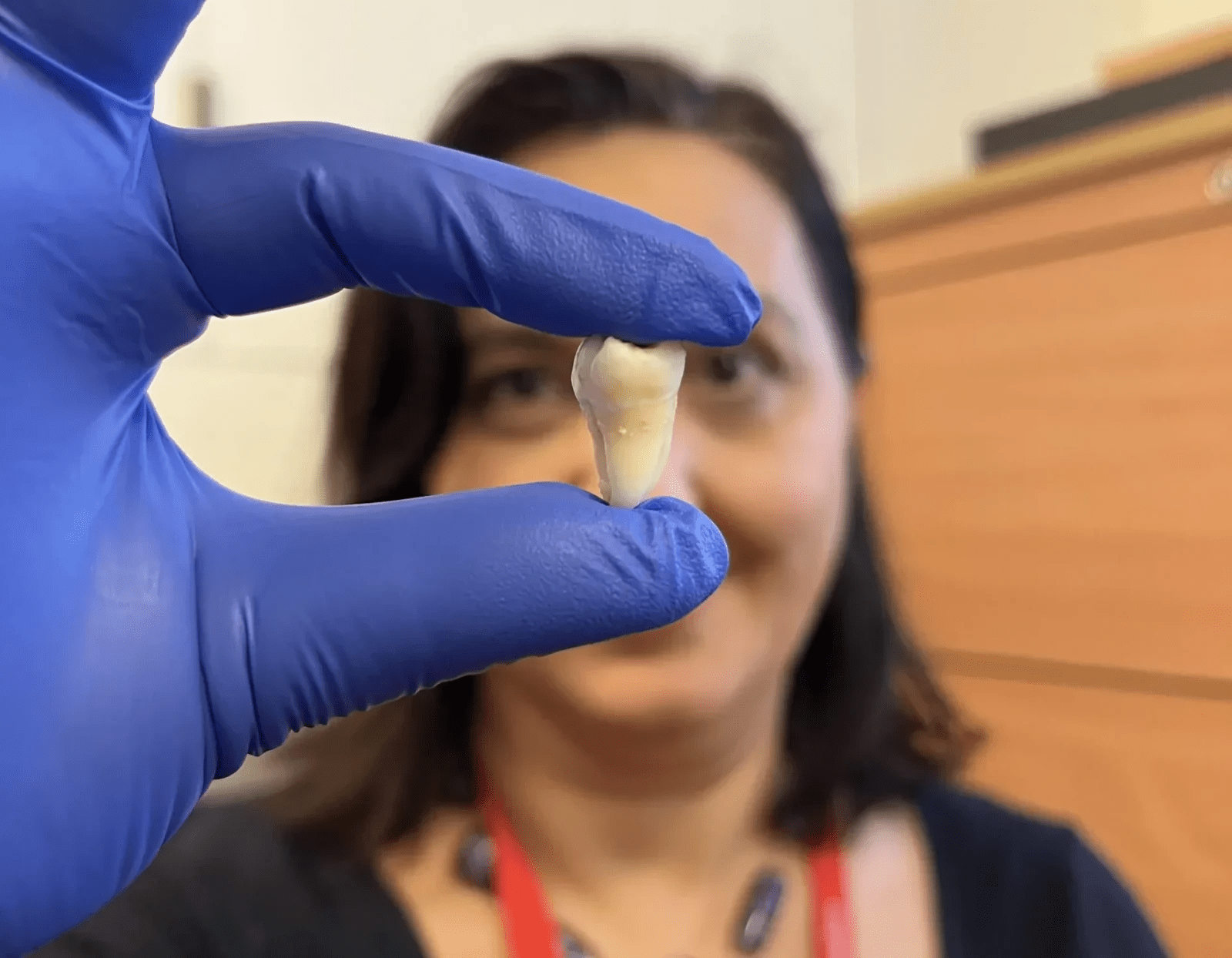 Scientists grow real teeth in the lab - replacing fillings and implants