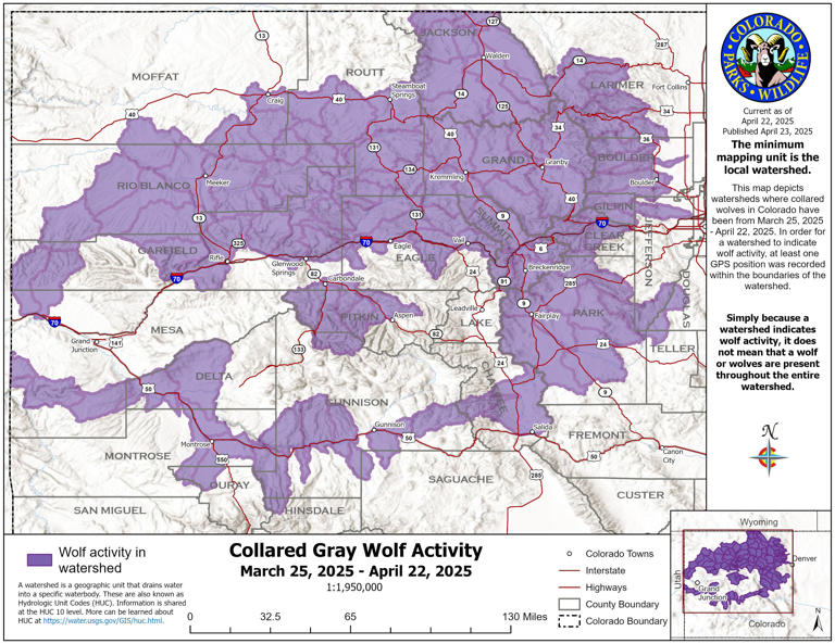 CPW releases slightly delayed wolf activity map