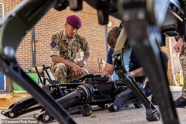 New Gurkha artillery unit 'is created as British Army battles manpower issues'
