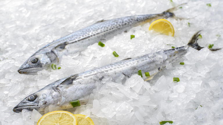 Slow Vs Flash-Freezing: Which Is The Best Method For Fish?