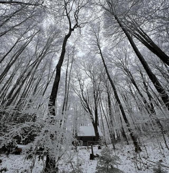 Family shares 'beautiful' photos of off-grid cabin built on ancestral ...