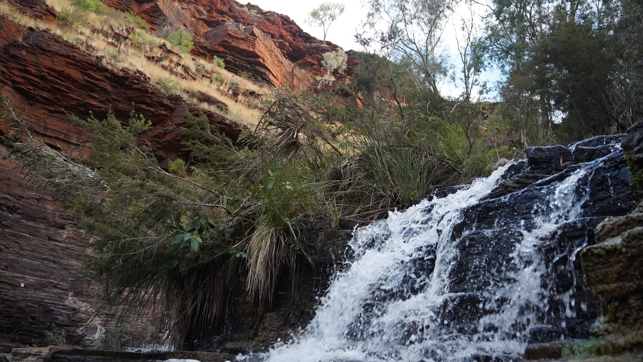 Tourism operator calls for investigation into water levels at Karijini ...