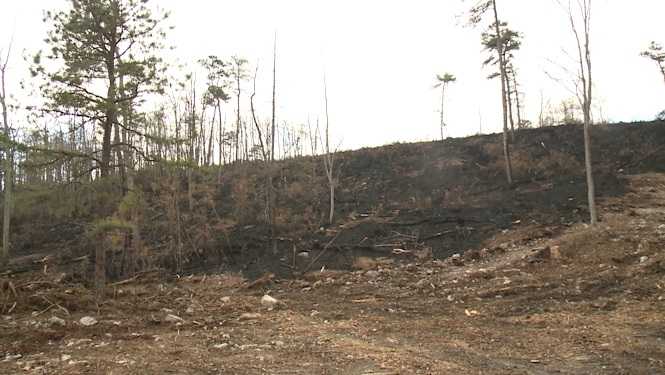 One of Michaux State Forest wildfires reaches full containment
