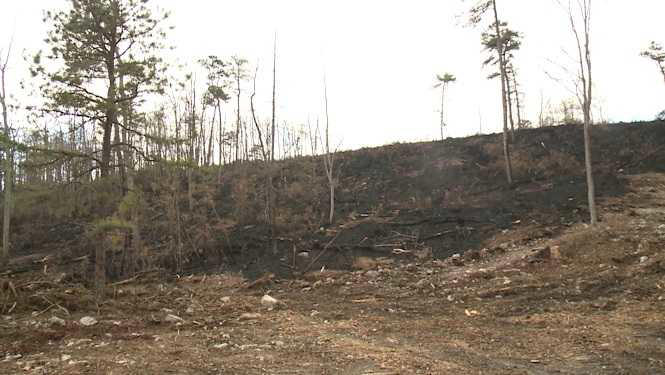 One of Michaux State Forest wildfires reaches full containment