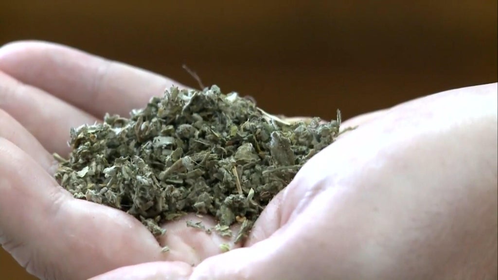 K2 synthetic marijuana, despite being illegal in New York, is not hard ...